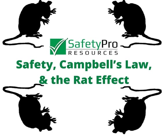 Safety, Campbell’s Law, & the Rat Effect